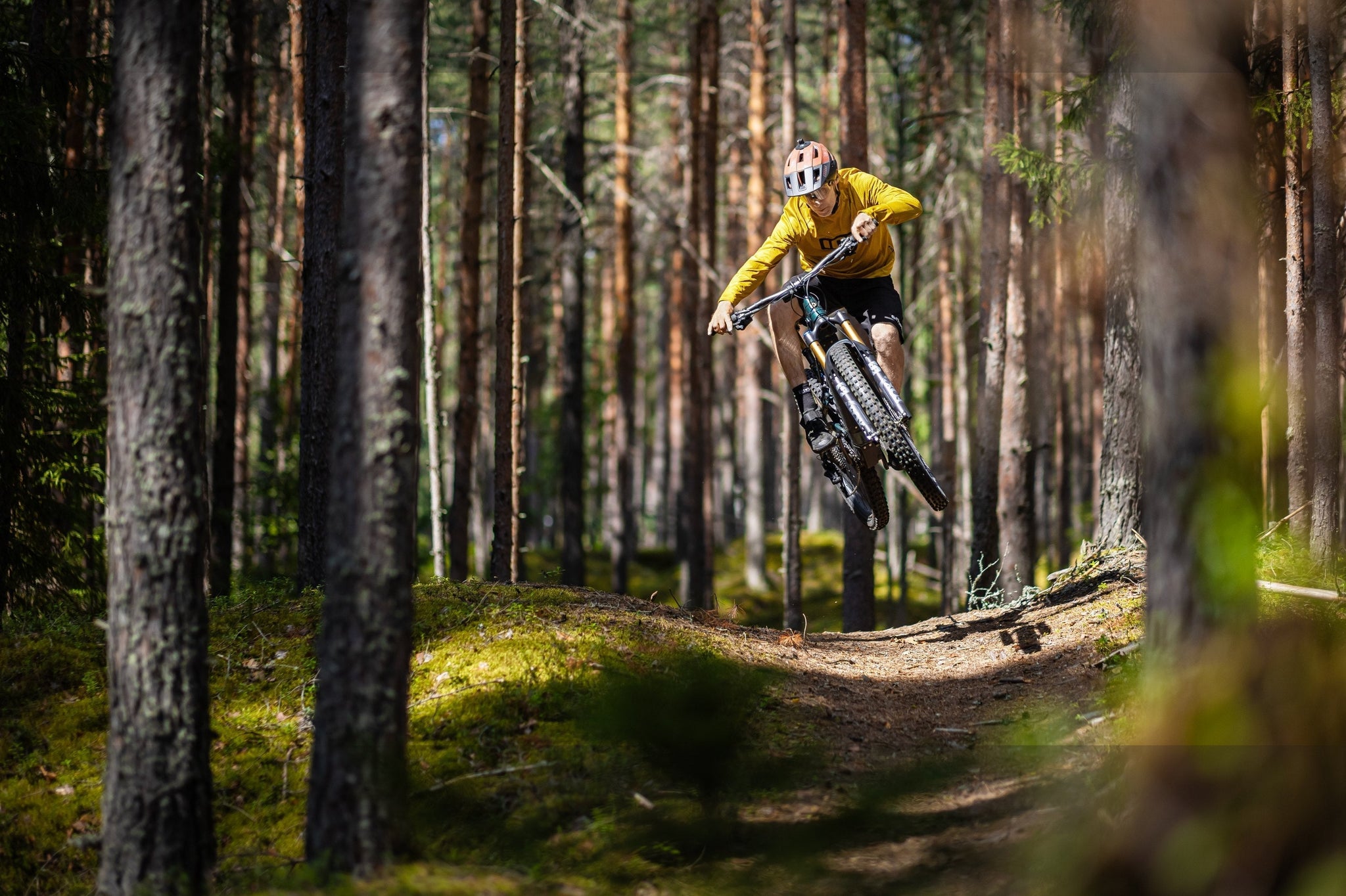 Polygon Bikes
